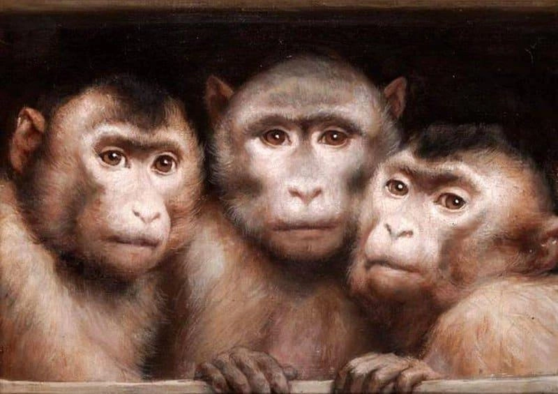 Three Monkeys by Gabriel Cornelius Von Max oil painting reproduction for sale